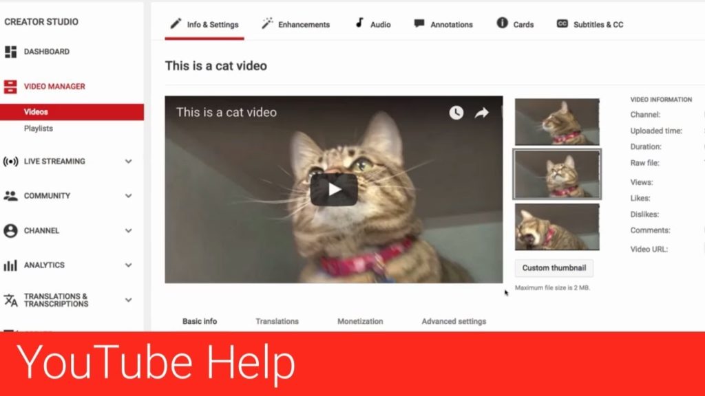 SEO Video Marketing: Promoting Your SEO Through Video Content - Elsner
