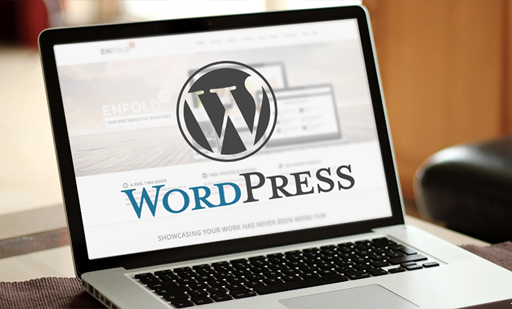 Hire WordPress Developers in USA | Dedicated Experts